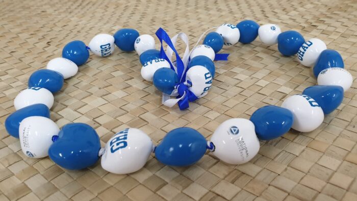 National Louis University : Commencement Group